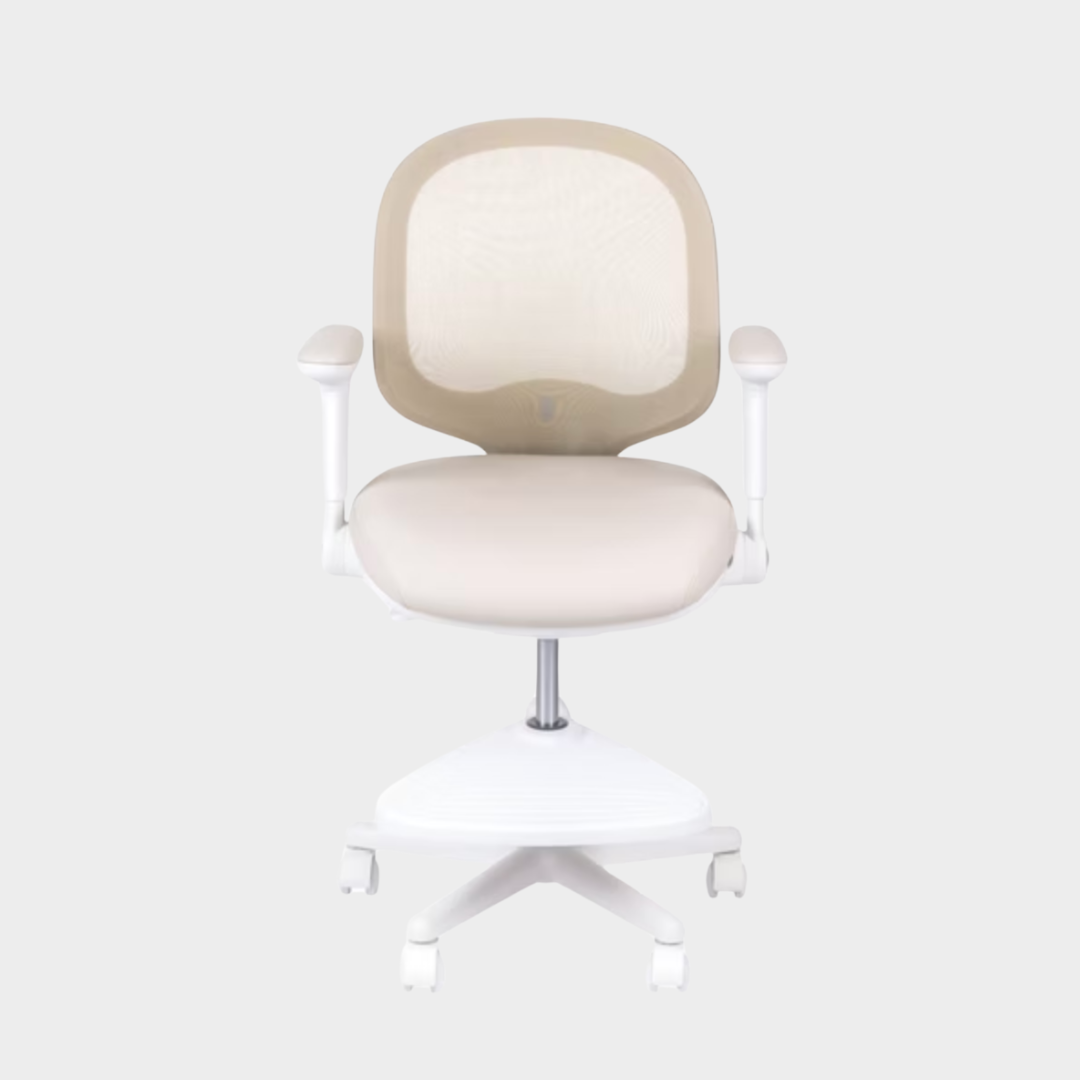 Macaron Ergonomic Chair – ZOOWORK Ergonomic Furniture
